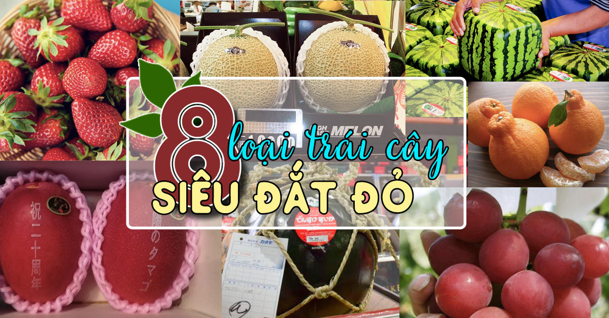 8 loại trái cây “đắt xắt ra miếng" của Nhật Bản chỉ dành cho nhà giàu
